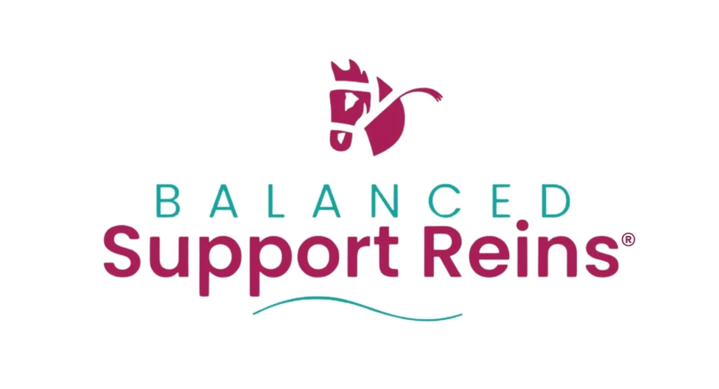 Horse Reins Size Guide – BalancedSupportReins™