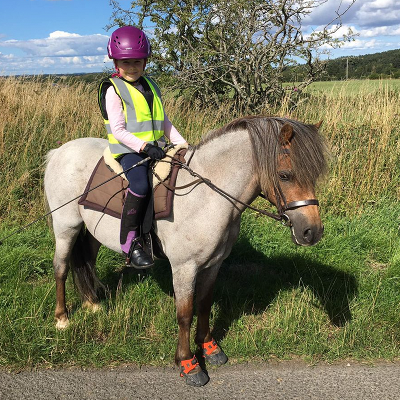Full Rubber Coloured Training Horse Reins - Balanced Support Reins ...
