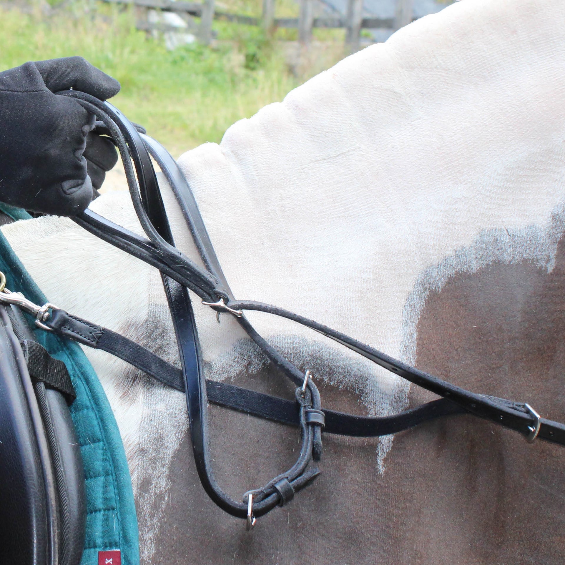 Loop Handle Reins - Balanced Support Reins™ – BalancedSupportReins™